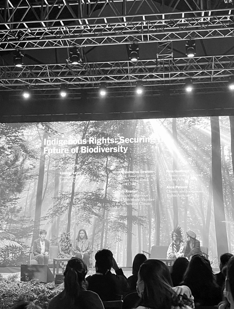 Indigenous Activists Demand Action from Governments and Policymakers at ...