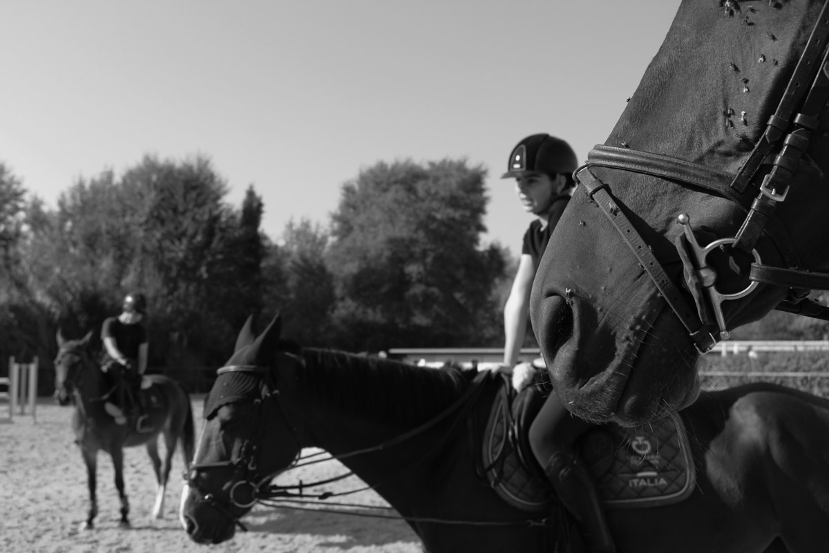 Discovering Horse Riding at Rome’s “Il Baiardo Corte dei Conti” Riding Club